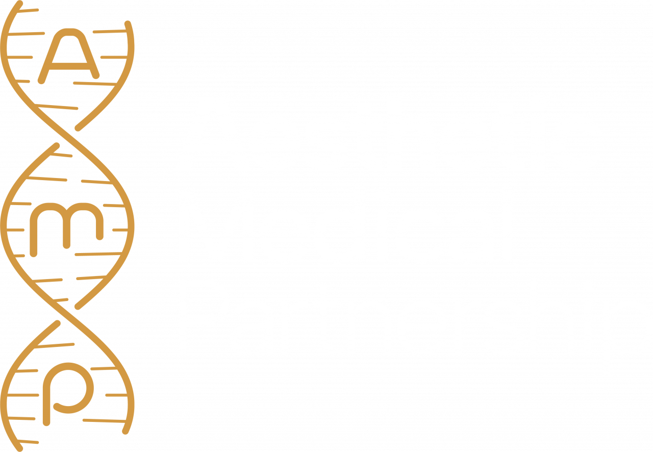 Learn more About What We Do at AMP UK | About AMP UK